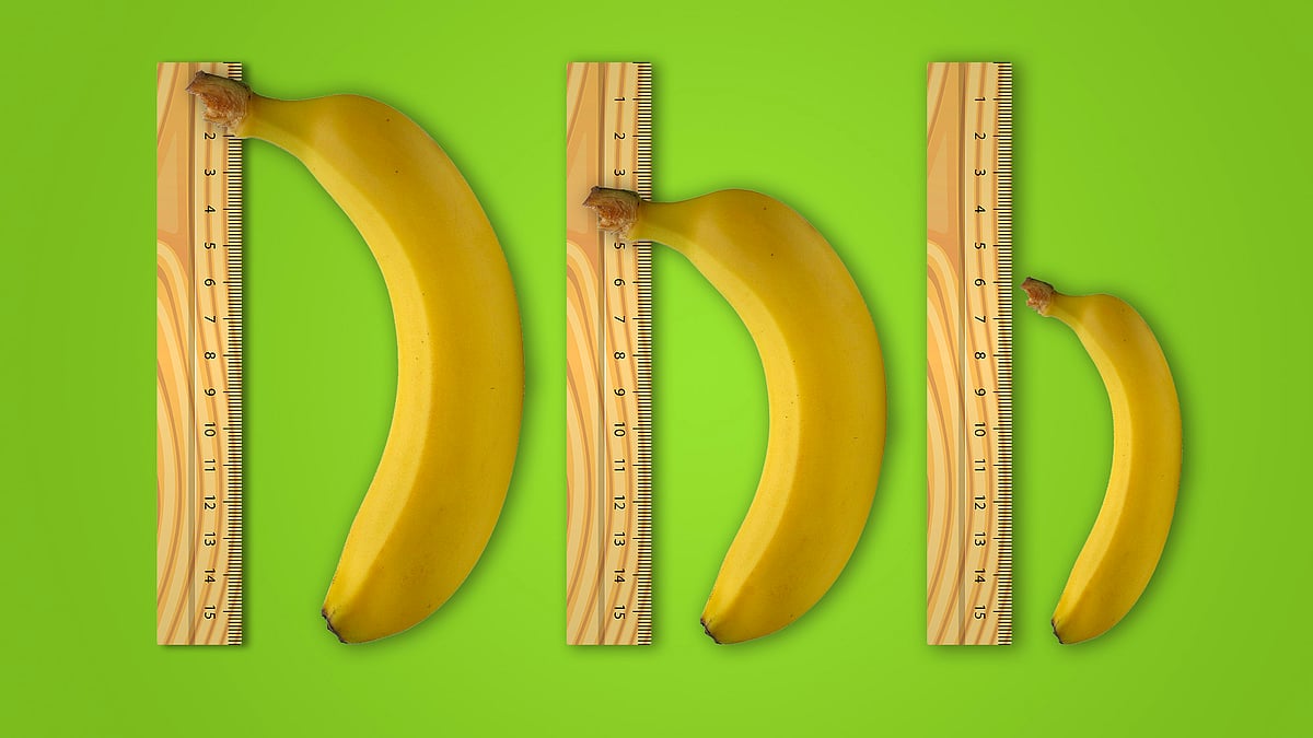 big-news-penis-implants-are-here-available-in-l-xl-and-xxl
